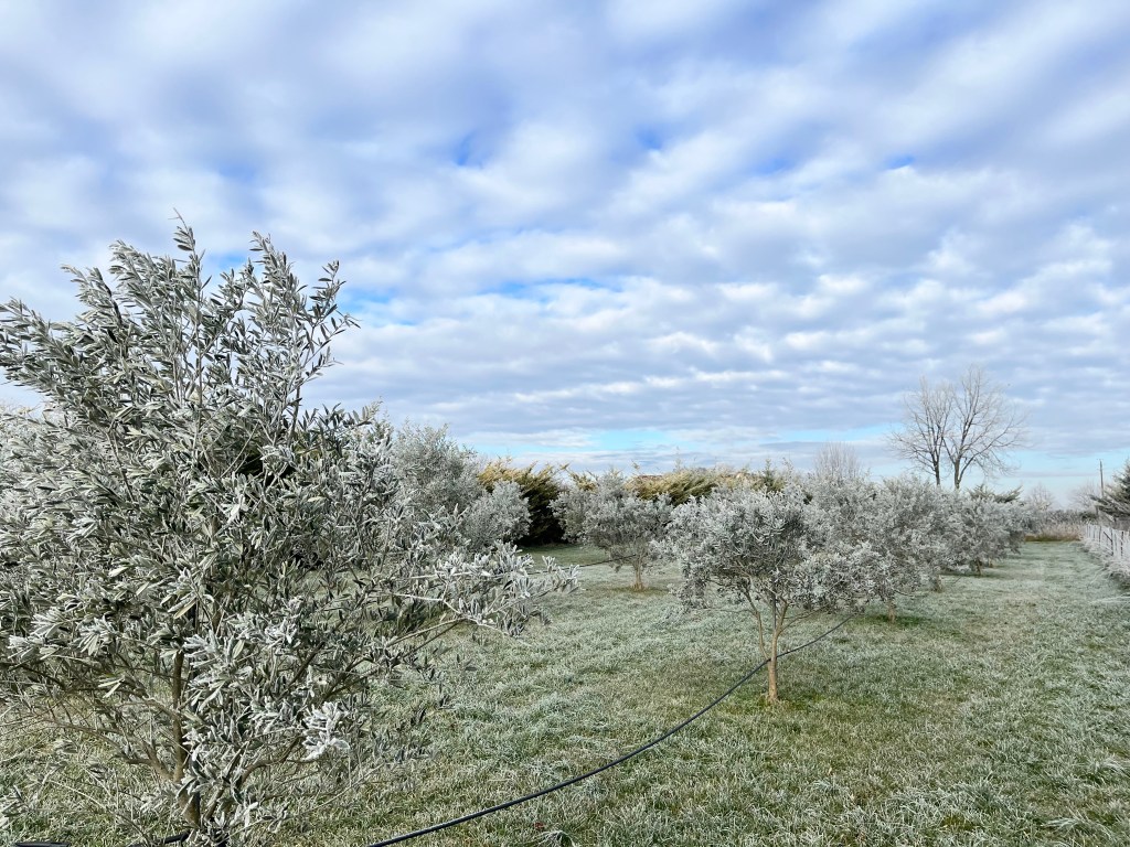 What the camera can’t capture – “Hold the Duck Fat!"